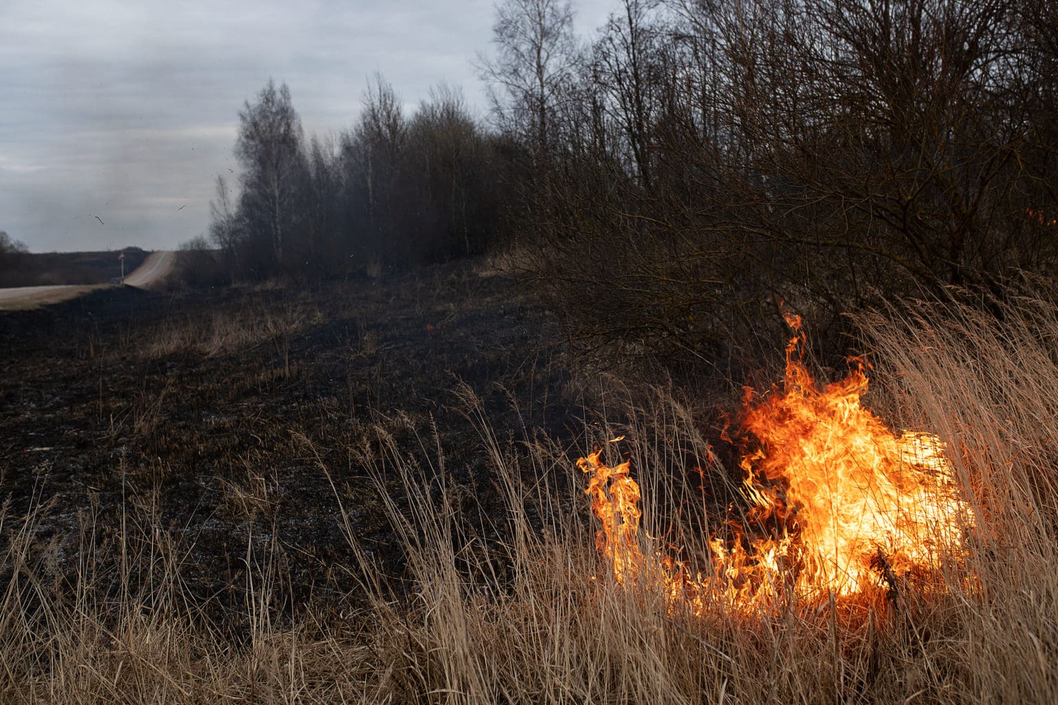 Fuelbreak Laws in Oregon - Richard Stevens & Associates, Inc.