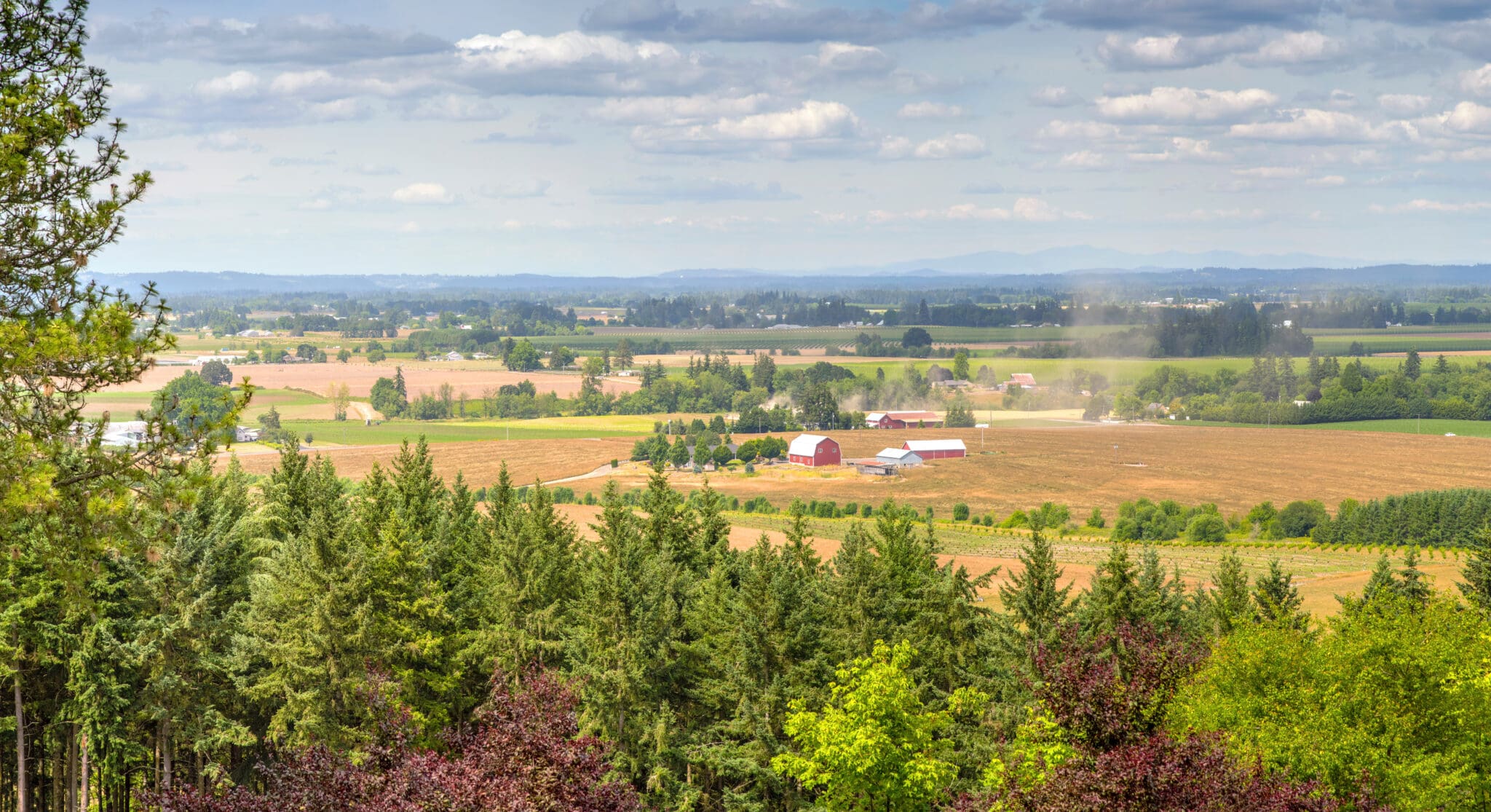 Living in an Unincorporated Community in Oregon - Richard Stevens ...